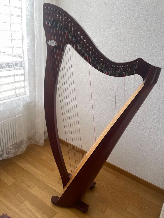 Salvi Harfe Prima 34 (Gebraucht) in Kreuzlingen für CHF 1250 – nur ...