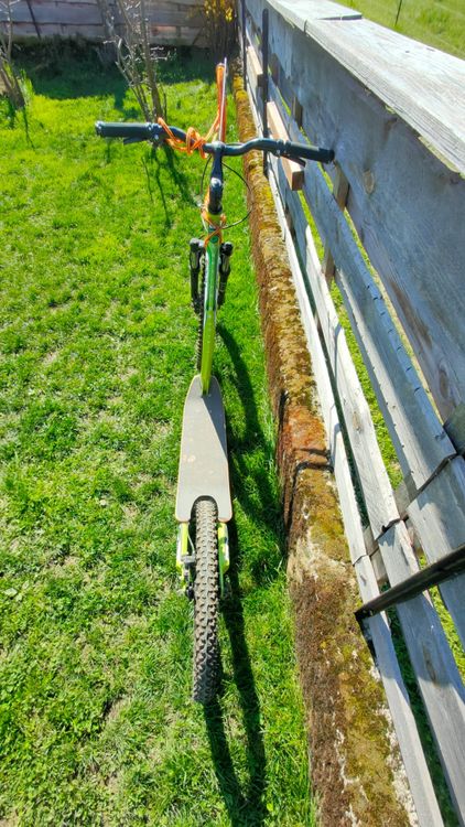 Gravity Dog Scooter mit Zugantenne & Leine, Top Zustand🐶🐕 (Gebraucht ...