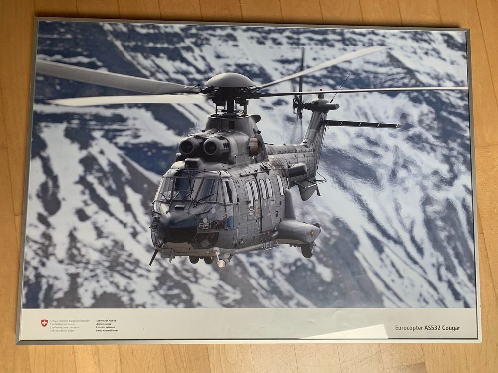 Bild Super Puma / Cougar (Neu (gemäss Beschreibung)) in Lausen für CHF 25 – nur Abholung auf ...