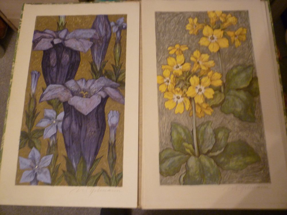 Walter Diggelmann 14 Blumenbilder Lithos (Gebraucht) in Langnau am ...