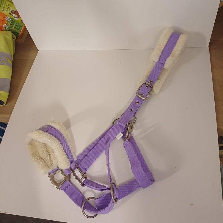 Licol mauve cheval (Gebraucht) in Villeneuve VD für CHF 5 – mit ...