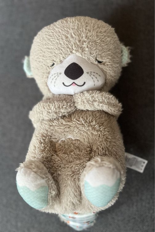Fisher-Price Schlummer Otter (Gebraucht) in Ostermundigen für CHF 16 ...
