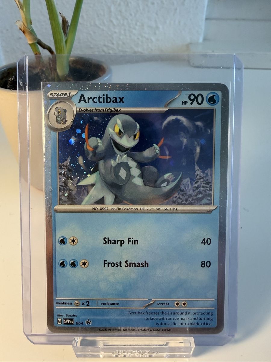 Arctibax Promo (Holo) 064 SVP 🇺🇸 (Neu (gemäss Beschreibung)) in Zürich ...