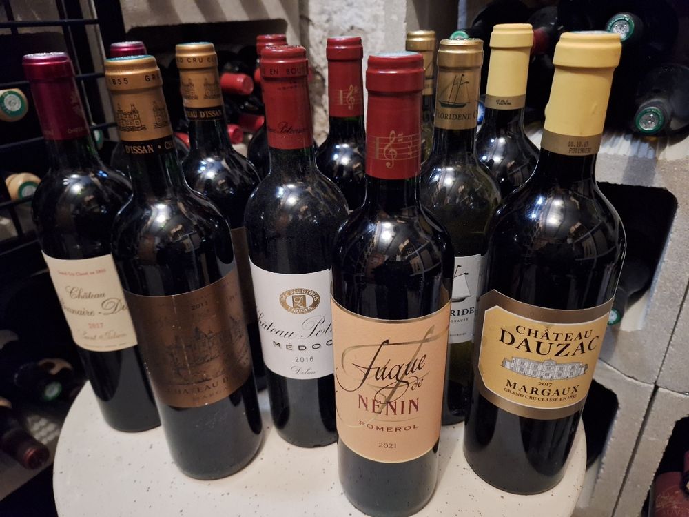Lot de 12 Bordeaux Grands Crus Classés du Médoc et autres | Kaufen auf ...