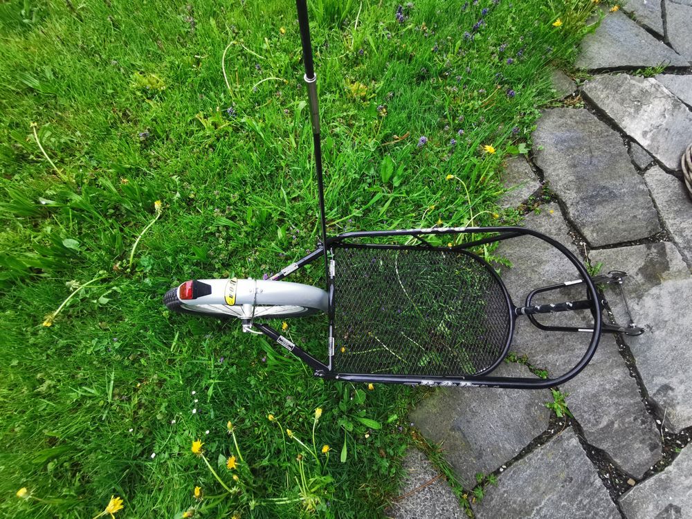 Fahrradanhänger - Yak BOB (Gebraucht) in Bennau für CHF 205 – nur Abholung auf Ricardo kaufen