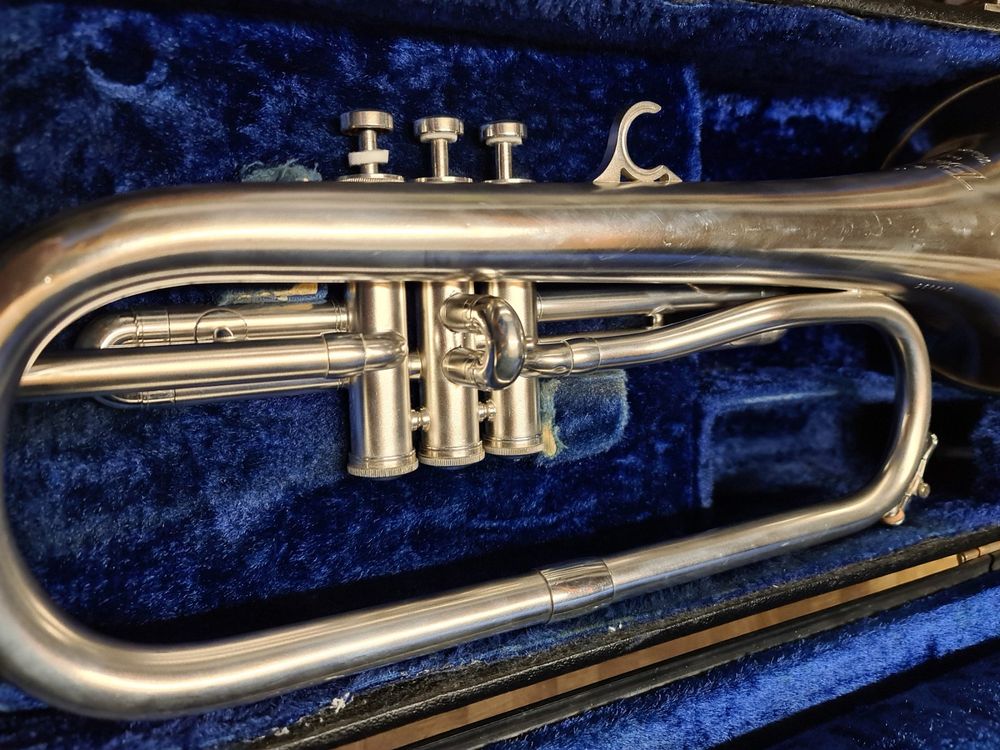 Bugle Sib (Gebraucht) in Troistorrents für CHF 300 – mit Lieferung auf ...