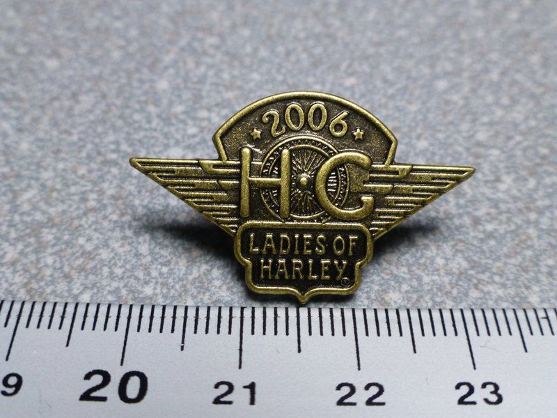 PIN PINS HARLEY DAVIDSON HOG Ladies of Harley | Kaufen auf Ricardo