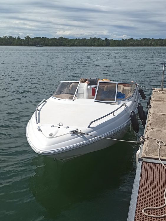 Motorboot Sportboot | Kaufen auf Ricardo