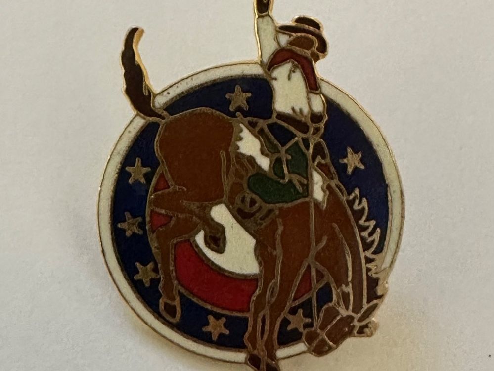 Rodeo Cowboy Pin (Gebraucht) in Gutenswil für CHF 4 – mit Lieferung auf ...