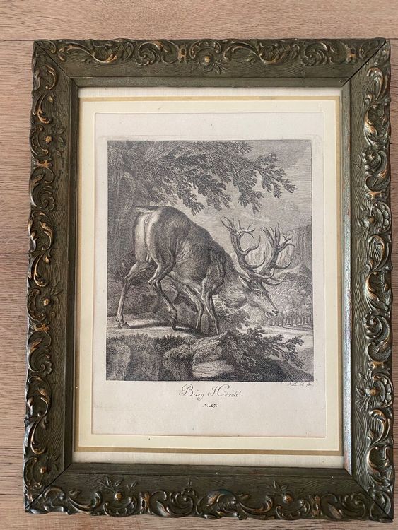 Riedinger Stich Hirsch 🦌 (Gebraucht) in Himmelried für CHF 55 – mit Lieferung auf Ricardo kaufen