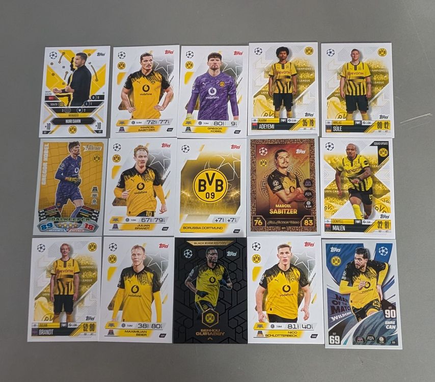 Borussia Dortmund LOT (Neu (gemäss Beschreibung)) in Rüegsauschachen ...