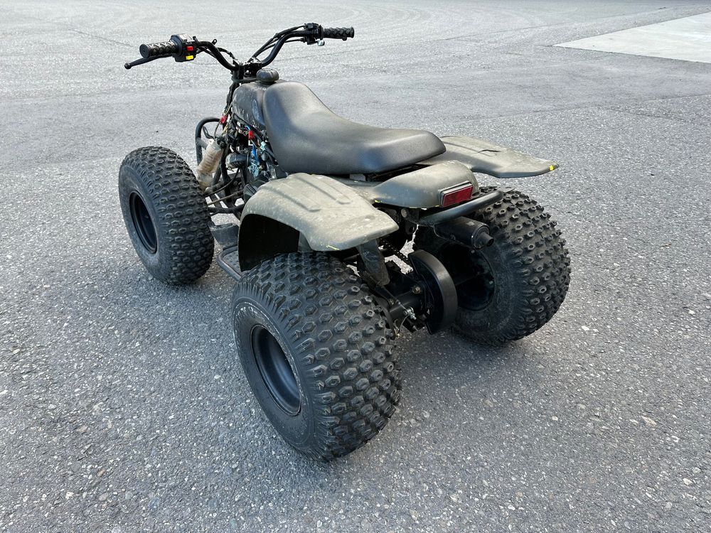 Adly 90ccm 2T Quad / ATV für Bastler (Motor läuft) (Defekt) in Lenzburg ...