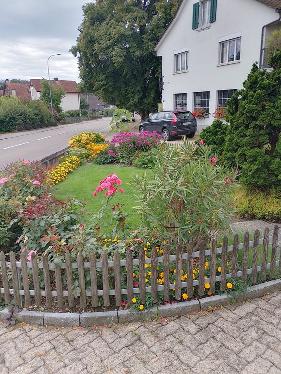 Temesta, Allerweltswundermittel (Neu und originalverpackt) in Weinfelden für CHF 50 – mit ...