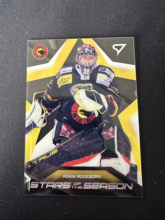 Adam Reideborn - SC Bern - Stars of the saison (Neuf (Voir description ...