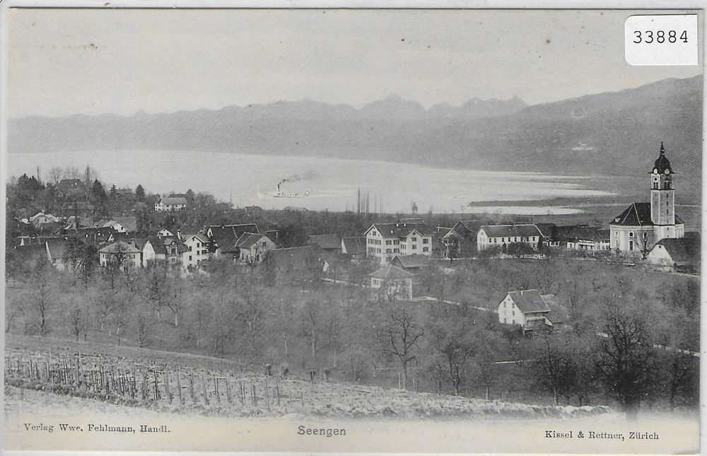Seengen - Generalansicht | Kaufen auf Ricardo