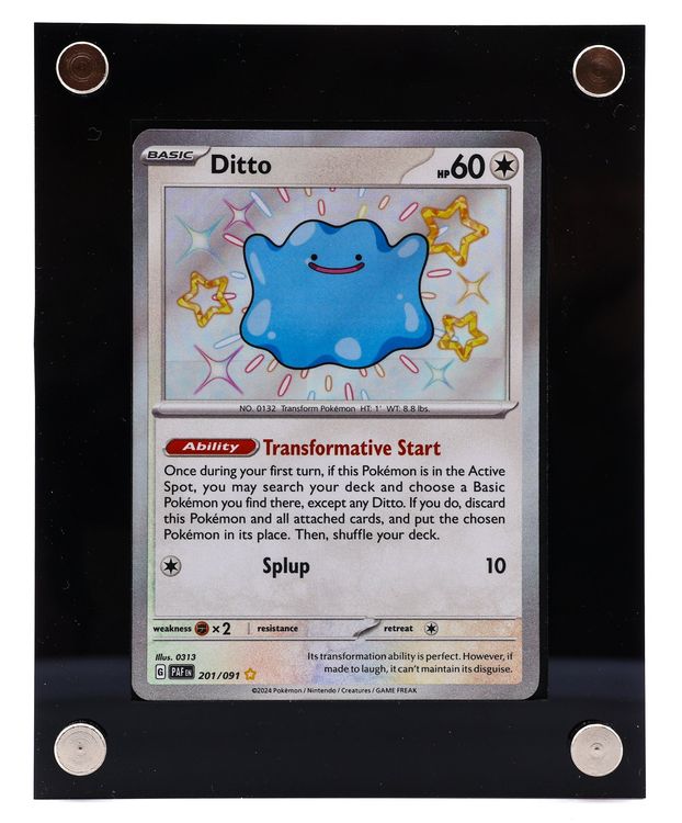 Ditto (PAF 201) - SV - Pokemon TCG - EN (Gebraucht) in Paudex für CHF 5 ...