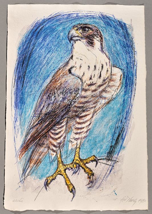 Fritz Hug Lithografie "Wanderfalke", handsigniert (Neu (gemäss ...