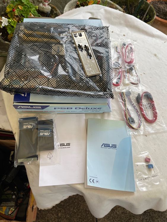 Asus Rock Solid Heart Touching (29) (Gebraucht) in Illnau-Effretikon ...