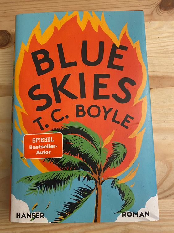 T.C. Boyle - Blue Skies | Kaufen auf Ricardo