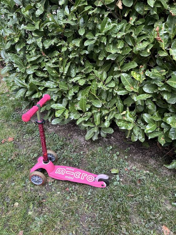 Micro Mini 3in1 Deluxe Scooter mit Zubehör | Kaufen auf Ricardo