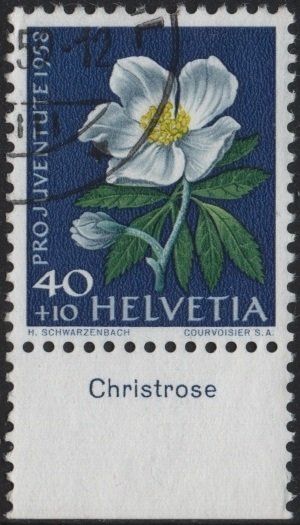 40 Rp. Christrose mit TAB (deutsch) (Gebraucht) in Eglisau für CHF 3.5 – mit Lieferung auf ...