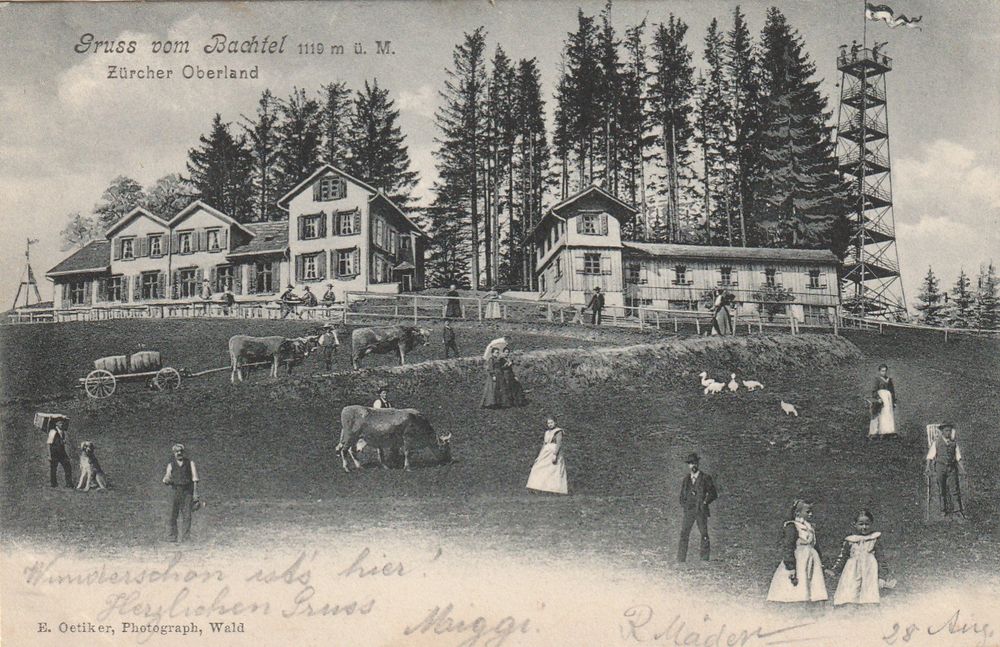 Bachtel belebt (Gebraucht) in Rorschacherberg für CHF 4 – mit Lieferung auf Ricardo kaufen