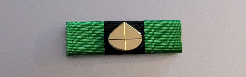 Ribbon Sportauzeichnung Stufe 1 (Gebraucht) in Wil SG für CHF 5 – mit ...