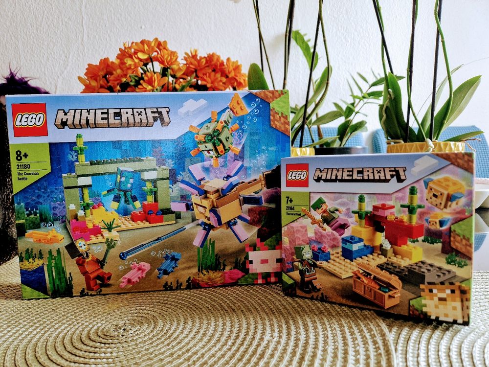 Lego Minecraft Sets 21180 und 21164 NEO/OVP | Kaufen auf Ricardo