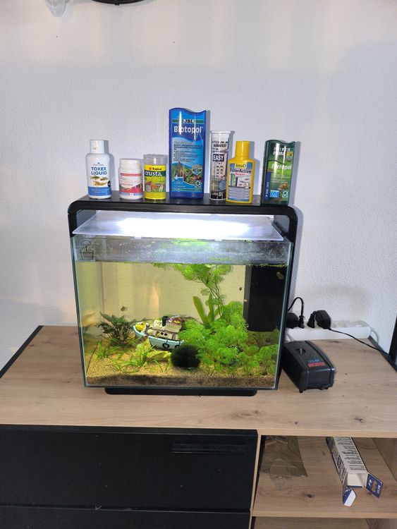 Aquarium Auf Rechnung