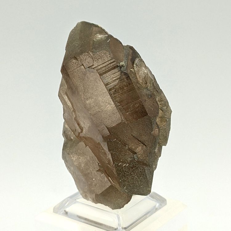 Rauchquarz Alpin mith CHLORIT, BITERMINIERT, Italien (Nuovo (secondo la descrizione)) a Balerna ...