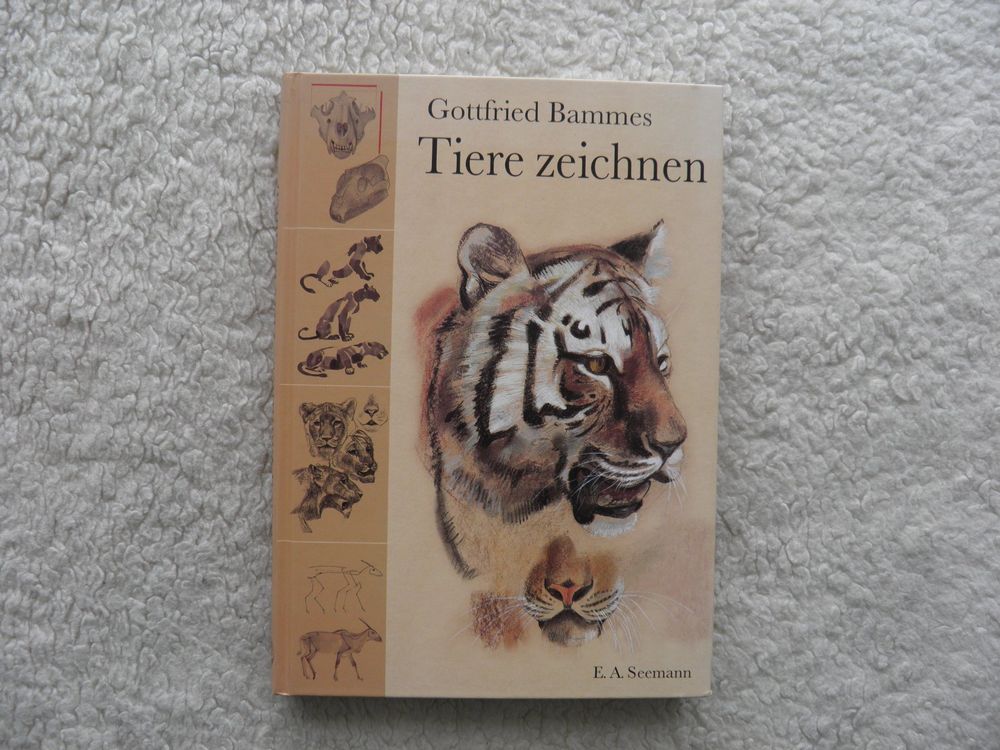Tiere zeichnen , Gottfried Bammes , 1. Januar 2001 (Gebraucht) in ...