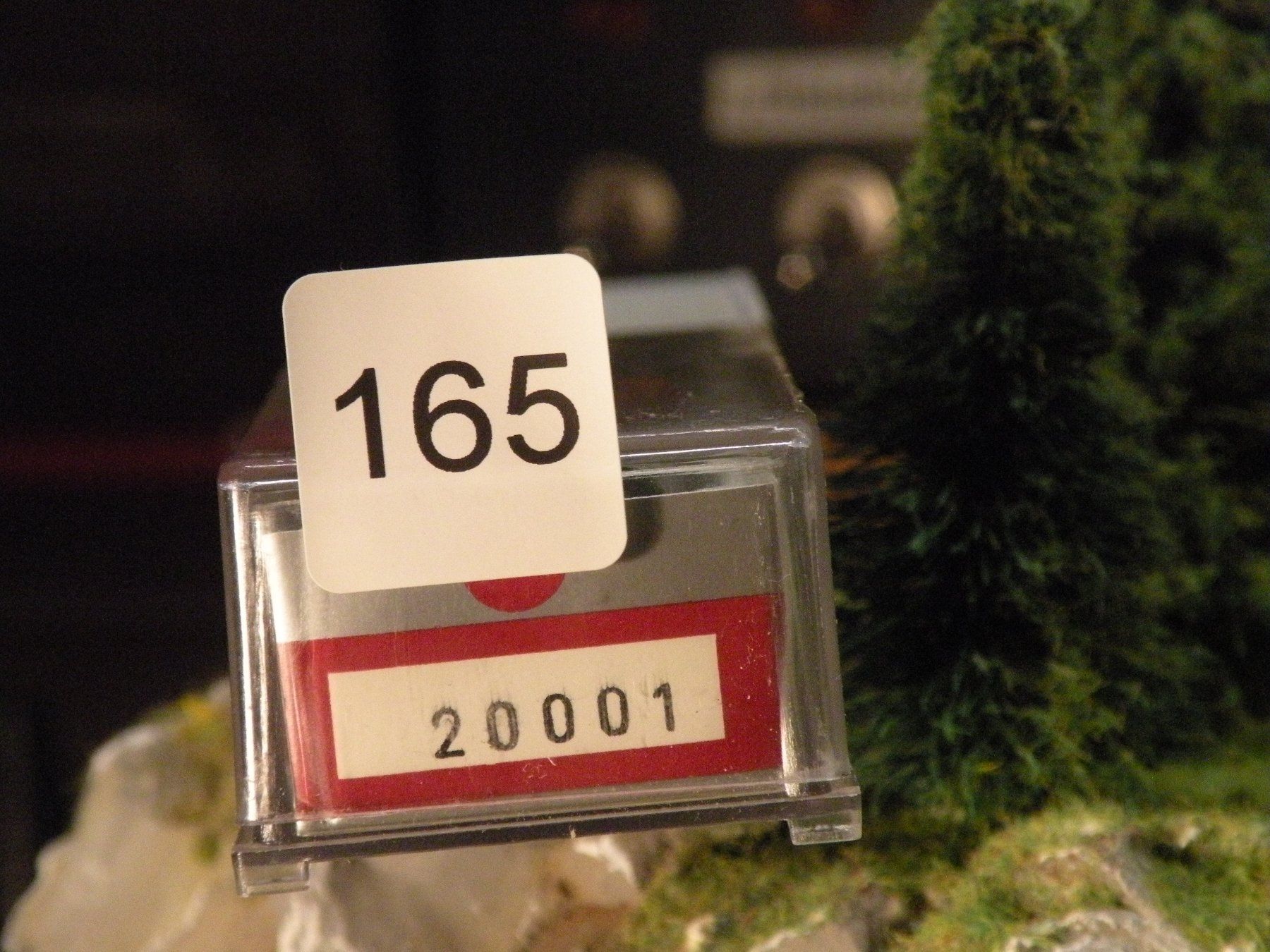 SBB CFF FFS WagenNHobbytrain Austria, Top Zustand! 165 (Gebraucht) in ...