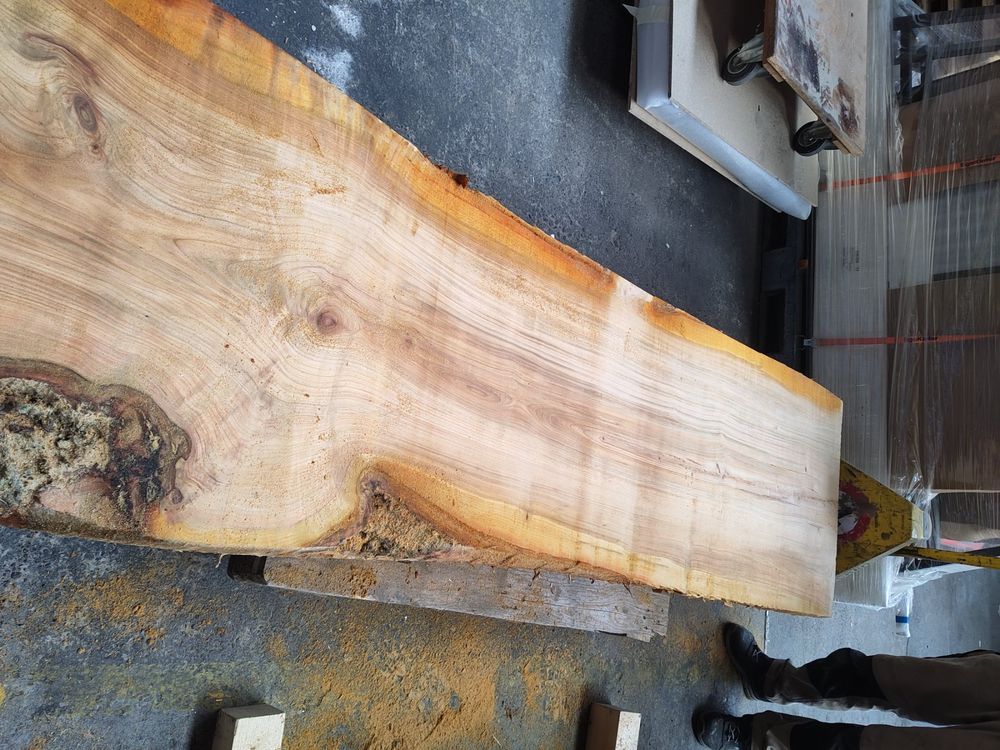 Kirschbaum Bretter | Kaufen auf Ricardo