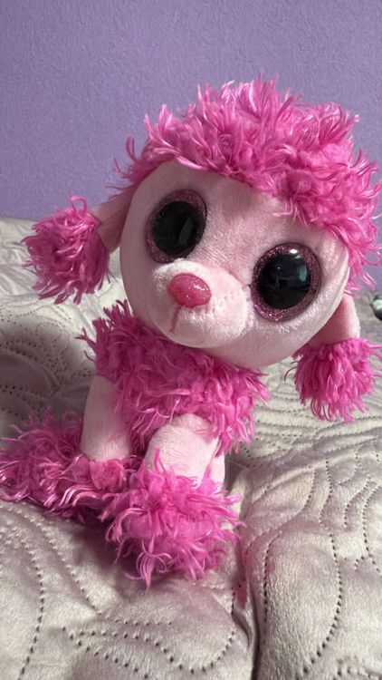Plüschtier Ty Beanie Boos Pudel Patsy (Gebraucht) in Netstal für CHF 2 ...