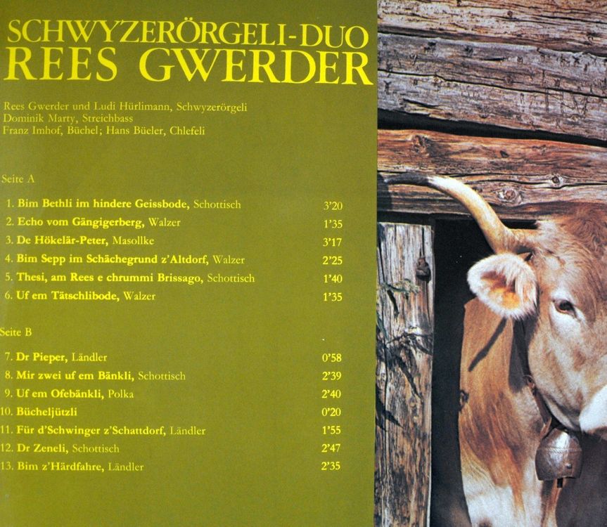 Schwyzerörgeli-Duo Rees Gwerder (Gebraucht) in Unterseen für CHF 33.9 ...