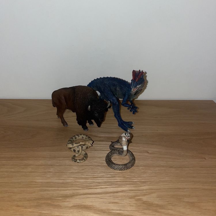 Schleich Figuren: Dino, Büffel, Kobra, Klapperschlange (SET) (Gebraucht ...