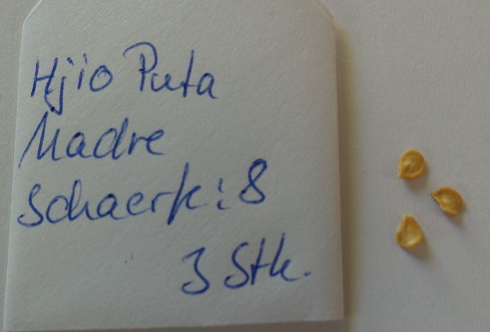 Chillisamen Hjio Puta Madre 2Stk. (Gebraucht) in für CHF 0.8 – mit ...