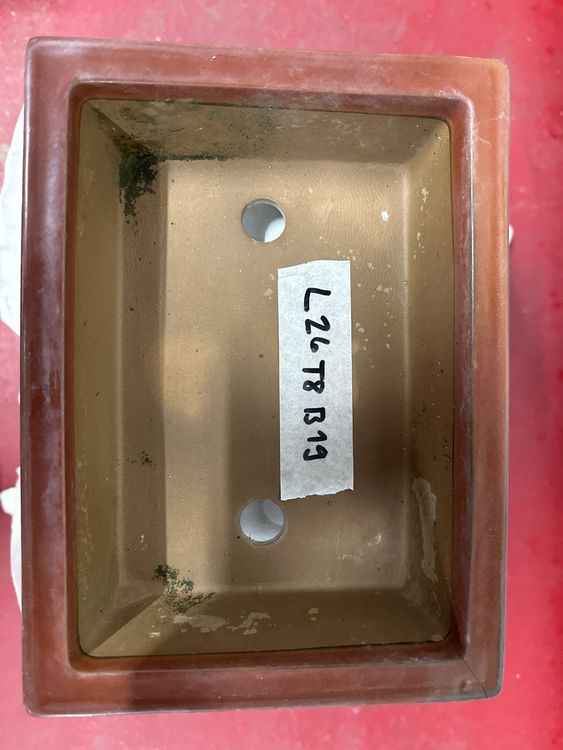 Bonsaischale (Gebraucht) in Sins für CHF 2 – nur Abholung auf Ricardo kaufen