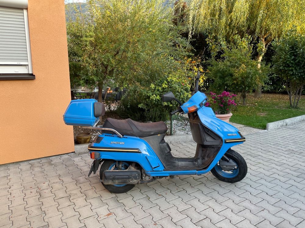 Scooter Honda Spacy 250 | Kaufen auf Ricardo