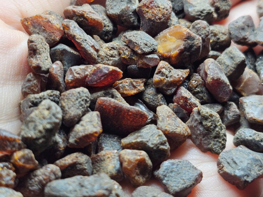 25 gr Rohbernstein lot baltisch roh Bernstein natur rot (Neu (gemäss ...