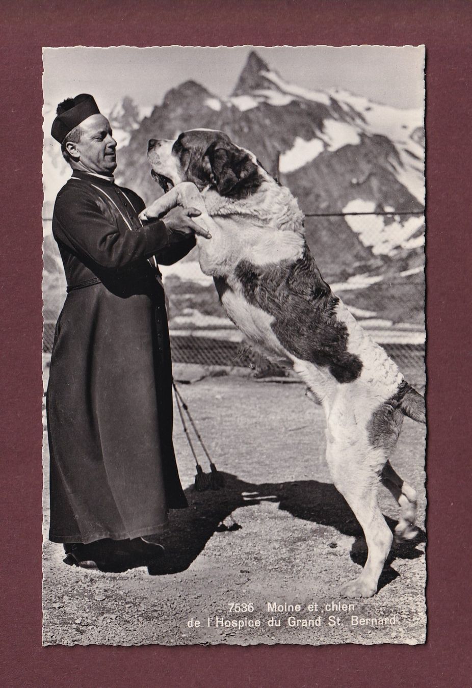 GRAND-SAINT-BERNARD - Maître et Chien (D'occasion) à Pully pour CHF 6 ...