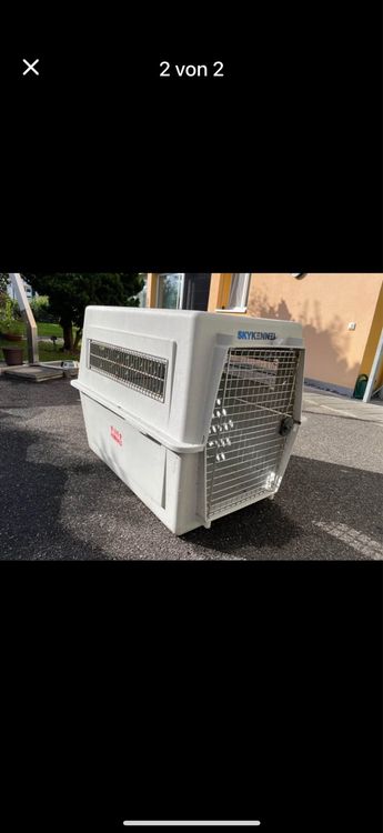 Hundekäfig, Transportbox, Flugzeug Hundebox (Gebraucht) in Rüti ZH für ...