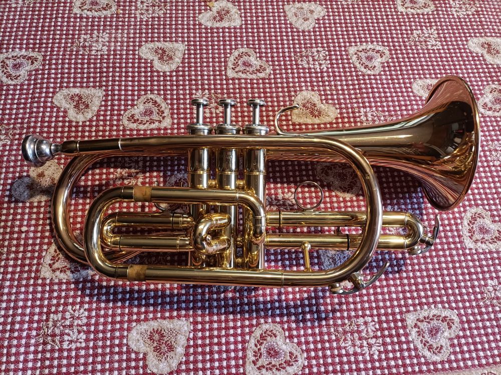 Cornetta | Kaufen auf Ricardo