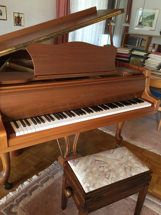 Flügel, Musikinstrument (Gebraucht) in Zürich für CHF 350 – nur ...