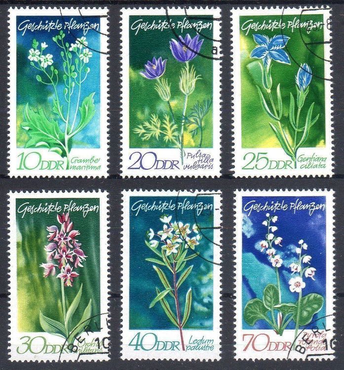 DDR SERIE GESCHÜTZTE PFLANZEN 1970 (Gebraucht) in Losone für CHF 1 – mit Lieferung auf Ricardo ...