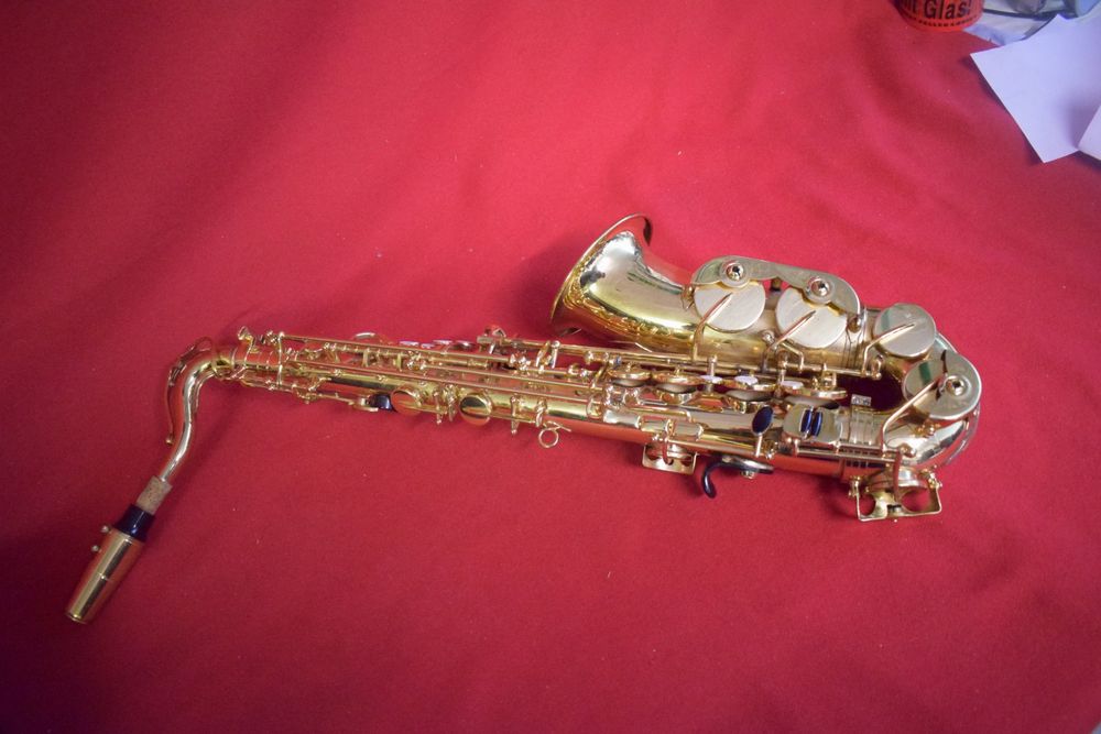 Alto saxophon ROY BENSON WIND INTRUMENTS AS-201, 10806240 (Gebraucht ...
