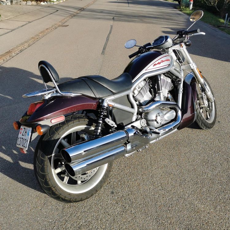 Harley-Davidson VRSCR Street Rod | Kaufen auf Ricardo