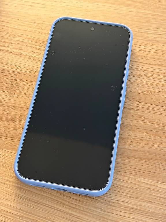 Google Pixel 10 Pro XL + Pixel Buds Pro 2 - neu und Garantie (Neu ...