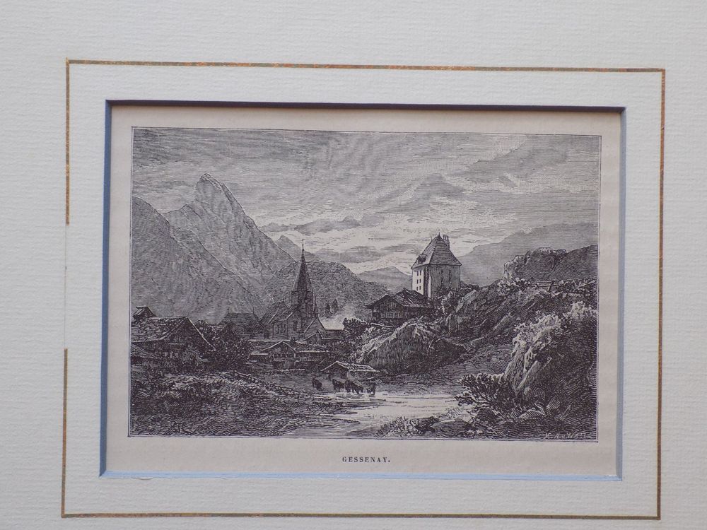 Saanen im Berner Oberland (Gebraucht) in Risch für CHF 30 – mit ...