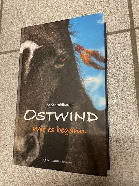OSTWIND - Wie es begann & Ostwind 2 - Das Buch zum Film | Kaufen auf ...
